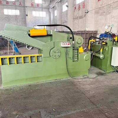 China Hydraulic Alligator Shear 200T 800mm for Scrap Metal Iron Aluminum Cutting Machine for sale