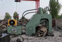 China Hydraulic Tiger Head Metal Shearing Machine 1200mm Blade for Scrap Steel Aluminum Cutting for sale