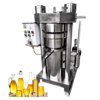 China Full Automatic Hydraulic Oil Press Machine 20-100kg/h Cold Press for Sunflower Rapeseed for sale