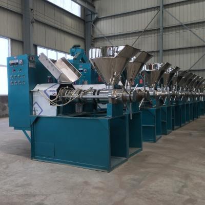 China Commercial Screw Oil Press Machine 80-550kg/h Cold Press Coconut Oil Extractor for sale