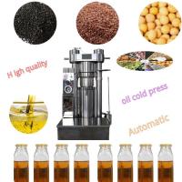 China Automatic Hydraulic Cold Press Oil Extraction Machine 20-100kg/h for Peanut Soybean for sale