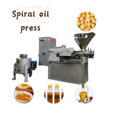 China 304 Stainless Steel Spiral Oil Press Machine 80-550kg/h for Sesame Soybean High Purity Oil Extraction for sale