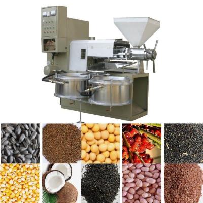 China Screw Squeezed Press Small Household Spiral Oil Press Machine 80-550kg/h for Peanut Oil for sale