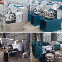 China Soybean Oil Extraction Pressing Machine 300kg/h Screw Oil Press for Industrial Use for sale