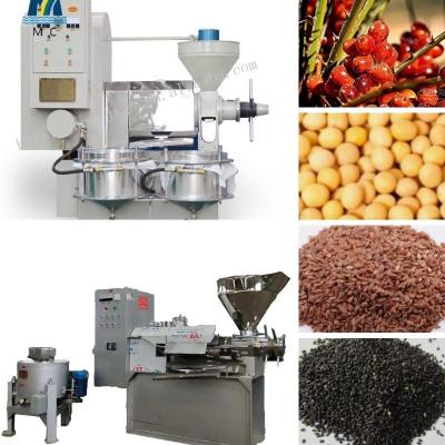 China Small Household Screw Oil Press Machine 80-550kg/h for Mustard Seed Vegetable Oil Spiral Extractor 220V for sale