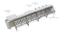 China Focusight Rose Sorting Machine and Rose Packaging Machine for sale