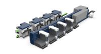 China Focusight Rose Sorting Machine and Rose Packaging Machine for sale