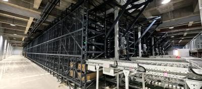 China Focusight Floral Stereoscopic Warehouse Management System for sale