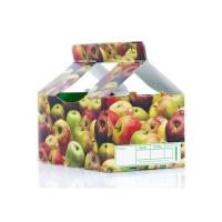 China Fruits & Vegetable Packaging With  Cartons Printing Inspection Quality Control Machine for sale