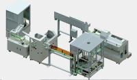 China 250gsm Automated Packing Machine Cartoner High Accuracy Positioning for sale