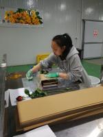 China Fresh Flower Accurate Focusight Inspection Machine for sale