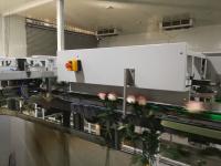 China Flower Sorting Automated Focusight Inspection Machine for sale