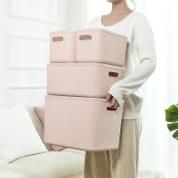 China Injection Plastic Storage Organizer Pink Plastic Storage Boxes With Lids for sale