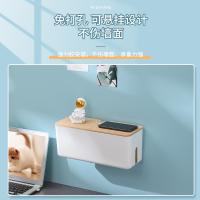 China Switch Protection 1liter Cord Organizer Box Plastic Household Safety for sale