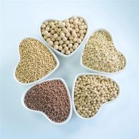 China Al2O3/SiO2 PSA Adsorbent Molecular Sieve for Industrial Gas Processing for sale