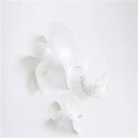 China https://www.alibaba.com/product-detail//2020-Plastic-Saddles-38mm-Berl-Tower_1600096090984.html?spm=a2793.11769229.0.0.6 for sale