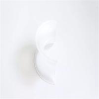 China https://www.alibaba.com/product-detail//2020-Plastic-Saddles-38mm-Berl-Tower_1600096090984.html?spm=a2793.11769229.0.0.6 for sale