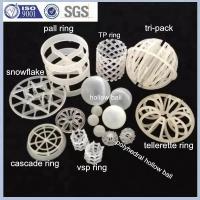 China PP Raschig Rings For Tower Packing , PVDF Random Packing For Stripping Tower for sale