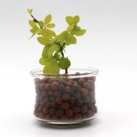 China Ball 2020 Far Infrared Ceramic Industrial Ceramic for sale