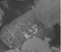 China Mesoporous Molecular Sieve MCM-22 Zeolite for sale