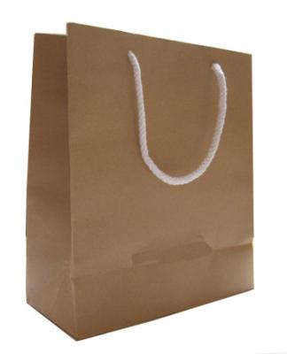 China Custom Printed Kraft Paper Shopping Bags 350 GSM with Paper Rope Handles for Retail Gifts for sale
