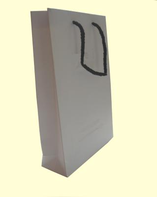 China Custom Design Printing Paper Gift Bag 30x20x10cm Durable Kraft Carrier for sale