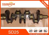 China SD25 12200-L2000 Engine Crankshaft For Nissan Forklift for sale