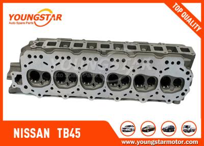 China Engine Cylinder Head  NISSAN TB45  11041-VC000  Gasoline  12V for sale