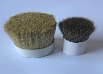 China Bleached White / Dyed color Boiled Pig Bristle Animal Hair For Artist Brush Painting Brush for sale