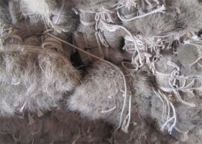 China Natural Grey Animal Hair 9-12 Inch Double Drawn For Making Cleaning Brush for sale