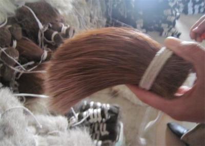 China Red Brown Color 5 Inch Double Drawn Real Horse Hair Tail For Making Brush for sale