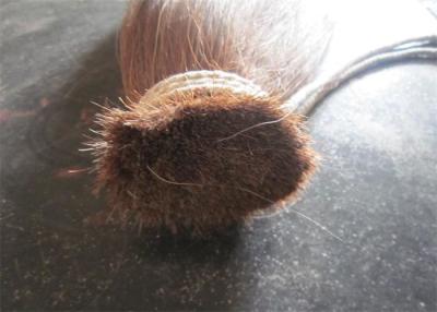 China Natural Brown Color 5-8 Inch Animal Hair Double Drawn Horse Tail Hair for sale