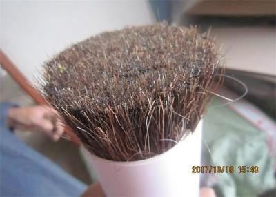 China 15cm Length  Horse Mane Tail Mixed Color  With PP For Brush Making for sale