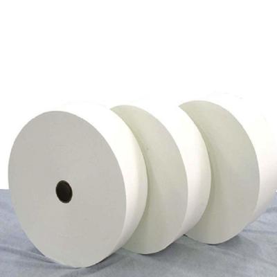 China PLA Spunbond Nonwoven Made from Polylactic Acid Fiber for sale