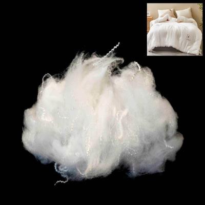 China 2D Virgin Polyester Staple Fiber for sale