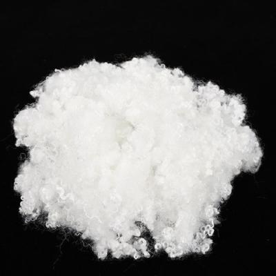 China 64mm Hollow Polyester Fiber Staple Recycled For Spinning Fillers for sale