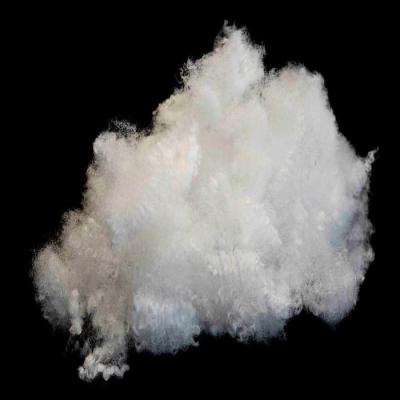 China PET Hollow Conjugated Siliconized Polyester Fiber for sale