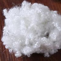 China Coiled Coil Hollow Conjugated Polyester Staple Fiber Recycled 51mm for sale