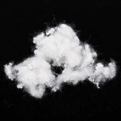 China 64mm Virgin Hollow Conjugate Fiber SVHC Polyester Staple Fiber for sale