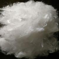 China Great Volume PSF Polyester Staple Fiber Anti Bacteria Environmental Friendly for sale