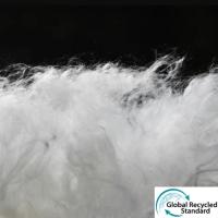 China Spiral Crimp Synthetic Staple Fibres Anti Bacteria Hollow Siliconized Fiber for sale