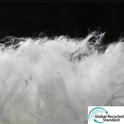China Spiral Crimp Synthetic Staple Fibres Anti Bacteria Hollow Siliconized Fiber for sale