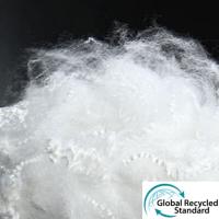 China GRS 2D Acrylic Staple Fibre Non Siliconized Conjugated Polyester Fiber for sale