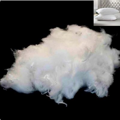China 1.2D Virgin Polyester Staple Fiber REACH Polyester Hollow Fiber for sale