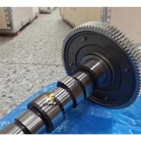 China Camshaft 04294520 4294520 0429 4520 for DEUTZ TCD2013 L04 2V for sale