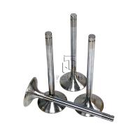 China Exhaust Valve 04254233 04283379 04289801 04250072 04250138 0425 4233 0428 3379 0428 9801 0425 0072 0425 0138 4254233 4283379 4289801 4250072 4250138 for deutz TCD2013 engine for sale