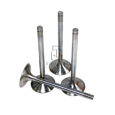 China Exhaust Valve 04254233 04283379 04289801 04250072 04250138 0425 4233 0428 3379 0428 9801 0425 0072 0425 0138 4254233 4283379 4289801 4250072 4250138 for deutz TCD2013 engine for sale