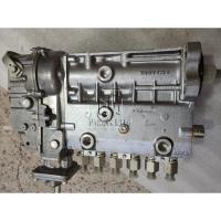 China Fuel Injection Pump 04232144 21170166 0400866232 for DEUTZ BF6L913C Engine Tractor Engine Railway Machine Engine for sale
