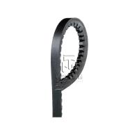 China Belt 01179749 1179749 0117 9749 for DEUTZ BFM1013 BF6M1013 F6L912 F6L914 ENGINE for sale
