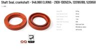 China Original ELRING Shaft Seal Crankshaft 546.968 2108-1005034 12016518B 520658 for Construction Works 0.01kg for sale